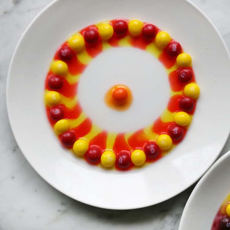 Skittles Experiment - Childhood Magic