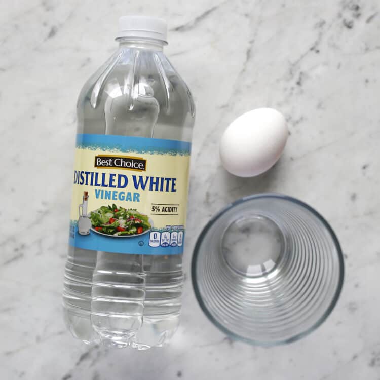 Bouncy Egg Experiment - Childhood Magic