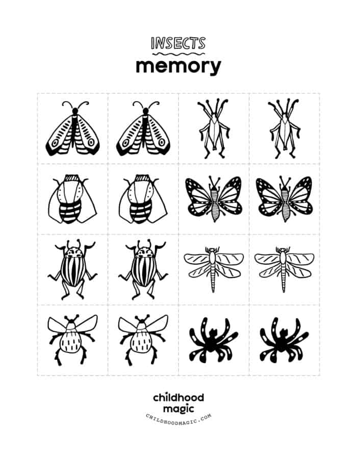 Insect Memory Game - Childhood Magic