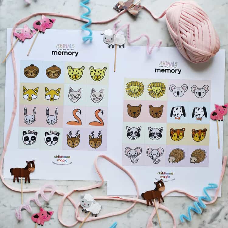 Animal Memory Game - Childhood Magic