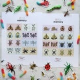 Insect Memory Game - Childhood Magic