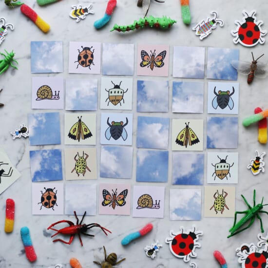Insect Memory Game - Childhood Magic