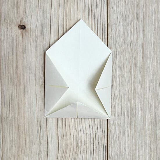 Cootie Catcher - Fortune Teller - Childhood Magic