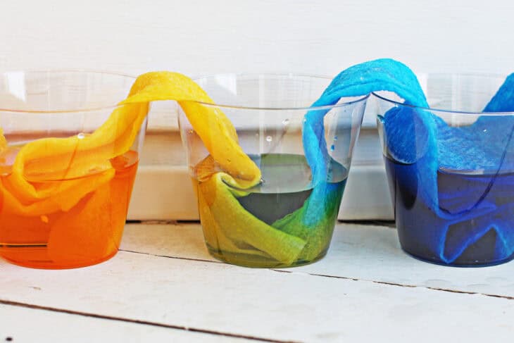 Traveling Rainbow Water Experiment- Fun Science for Kids - Childhood Magic