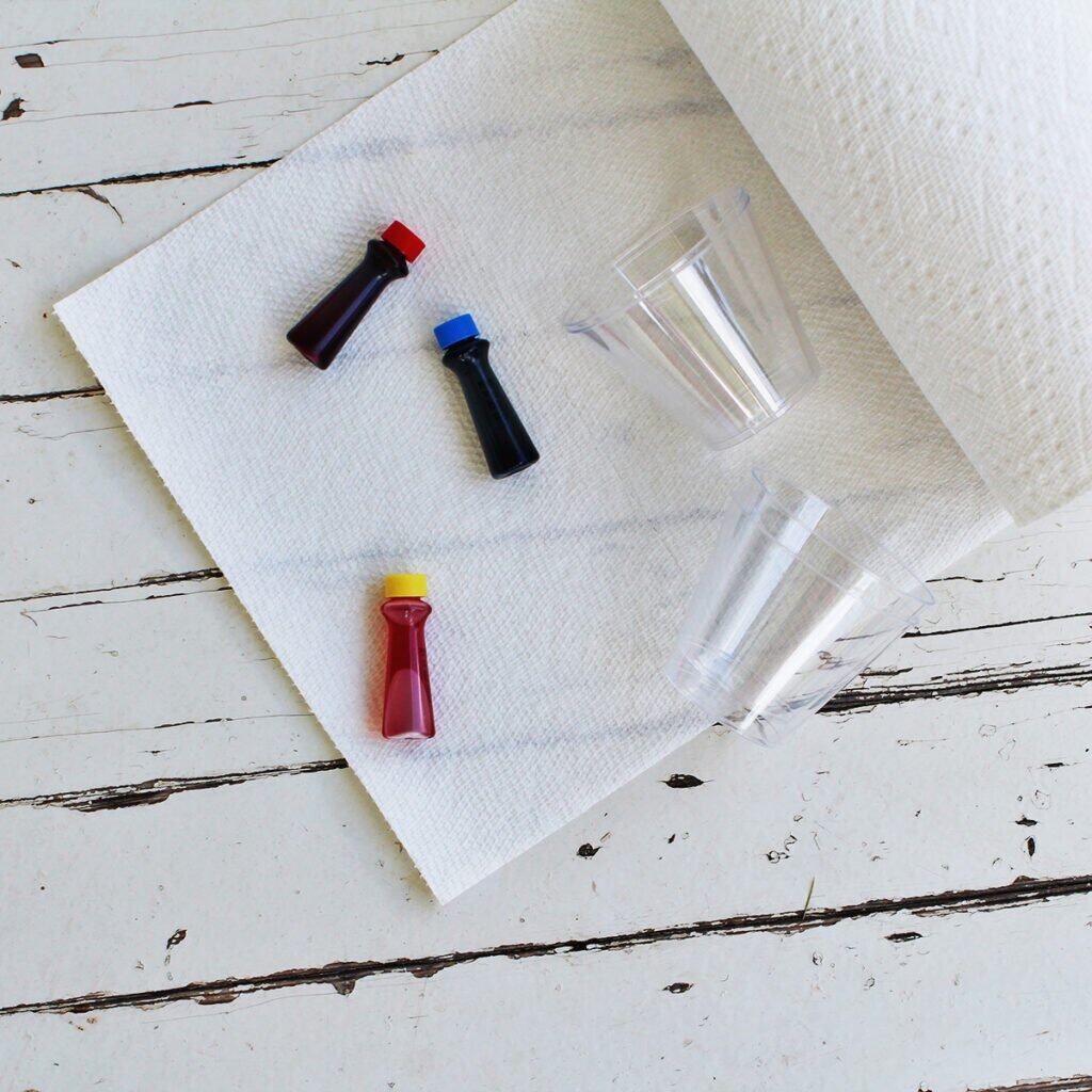 Traveling Rainbow Water Experiment- Fun Science for Kids - Childhood Magic