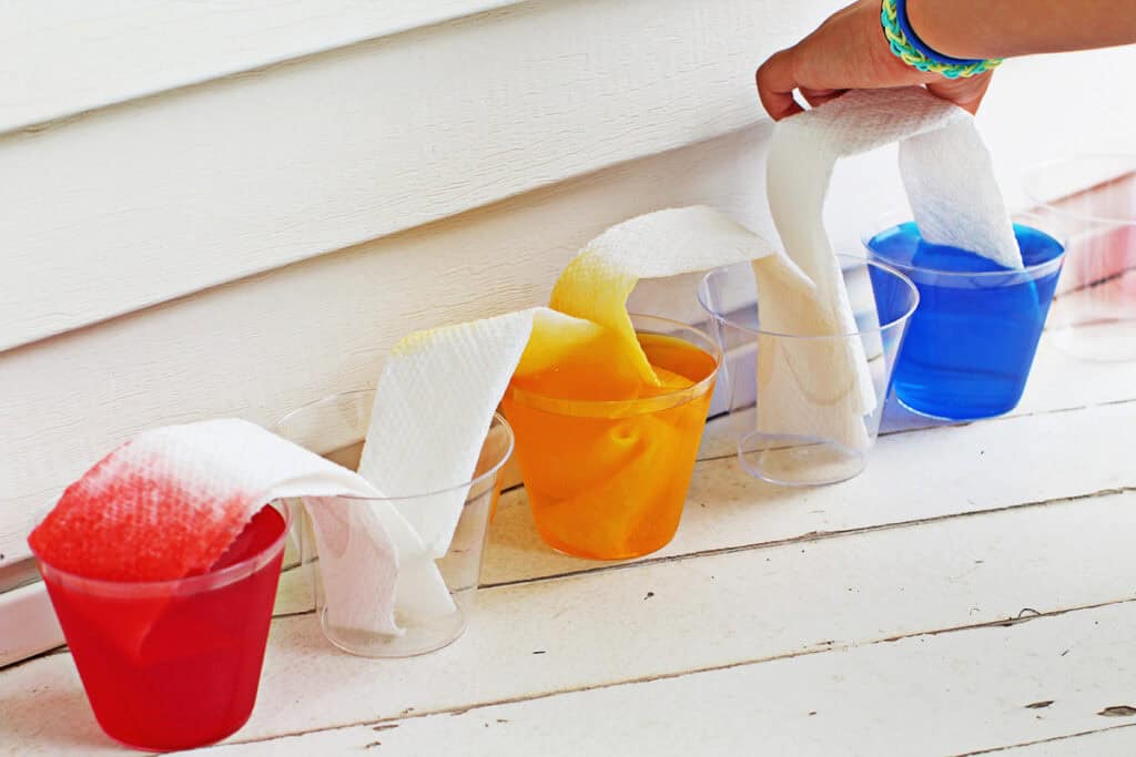 Traveling Rainbow Water Experiment- Fun Science for Kids - Childhood Magic