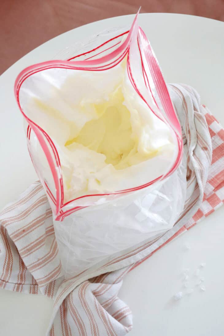 Easy Ice Cream In A Bag - Childhood Magic