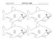 Shark Template- Free Printable for Kids - Childhood Magic