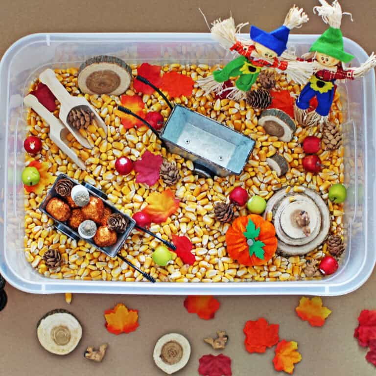 Make a Fall Sensory Bin - Childhood Magic